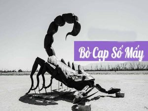 Con bò cạp số mấy? Nằm mơ thấy bò cặp đánh con gì?